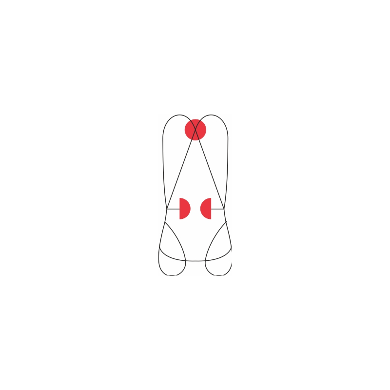 EPI - Harnais antichute CAMP - BASIC DUO - EN361
