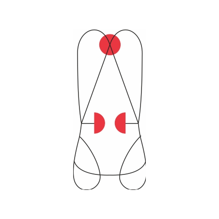 EPI - Harnais antichute CAMP - BASIC DUO - EN361